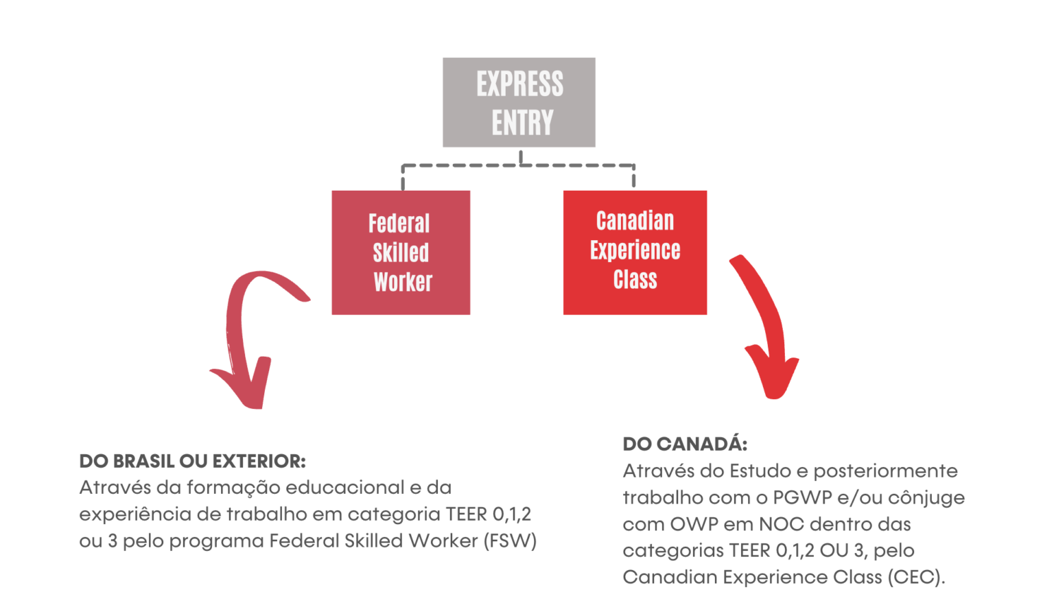 TUDO SOBRE O EXPRESS ENTRY: COMPARE OS 3 PROGRAMAS - TFA - Terry ...